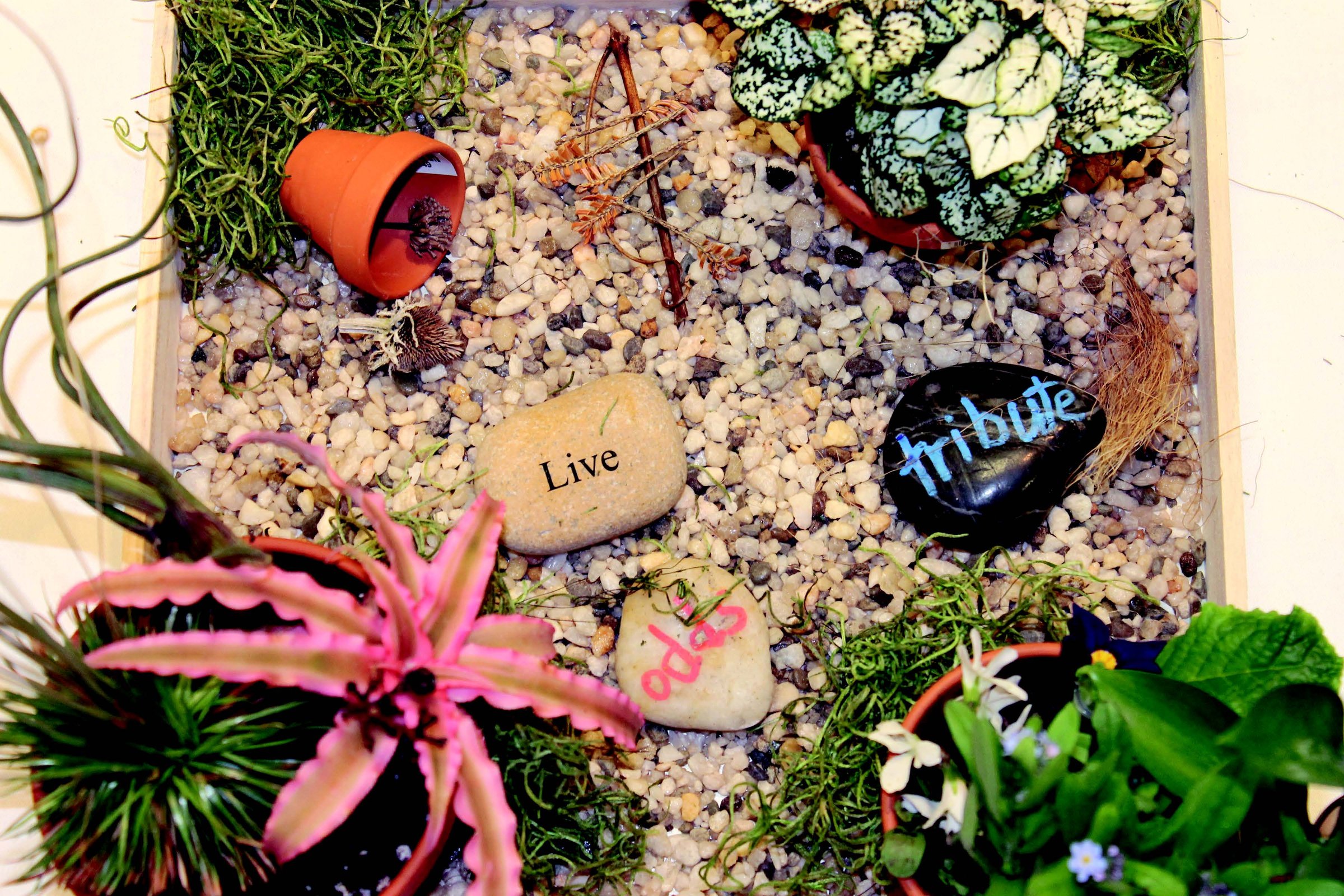 Word Gardens: Engaging Students Outdoors