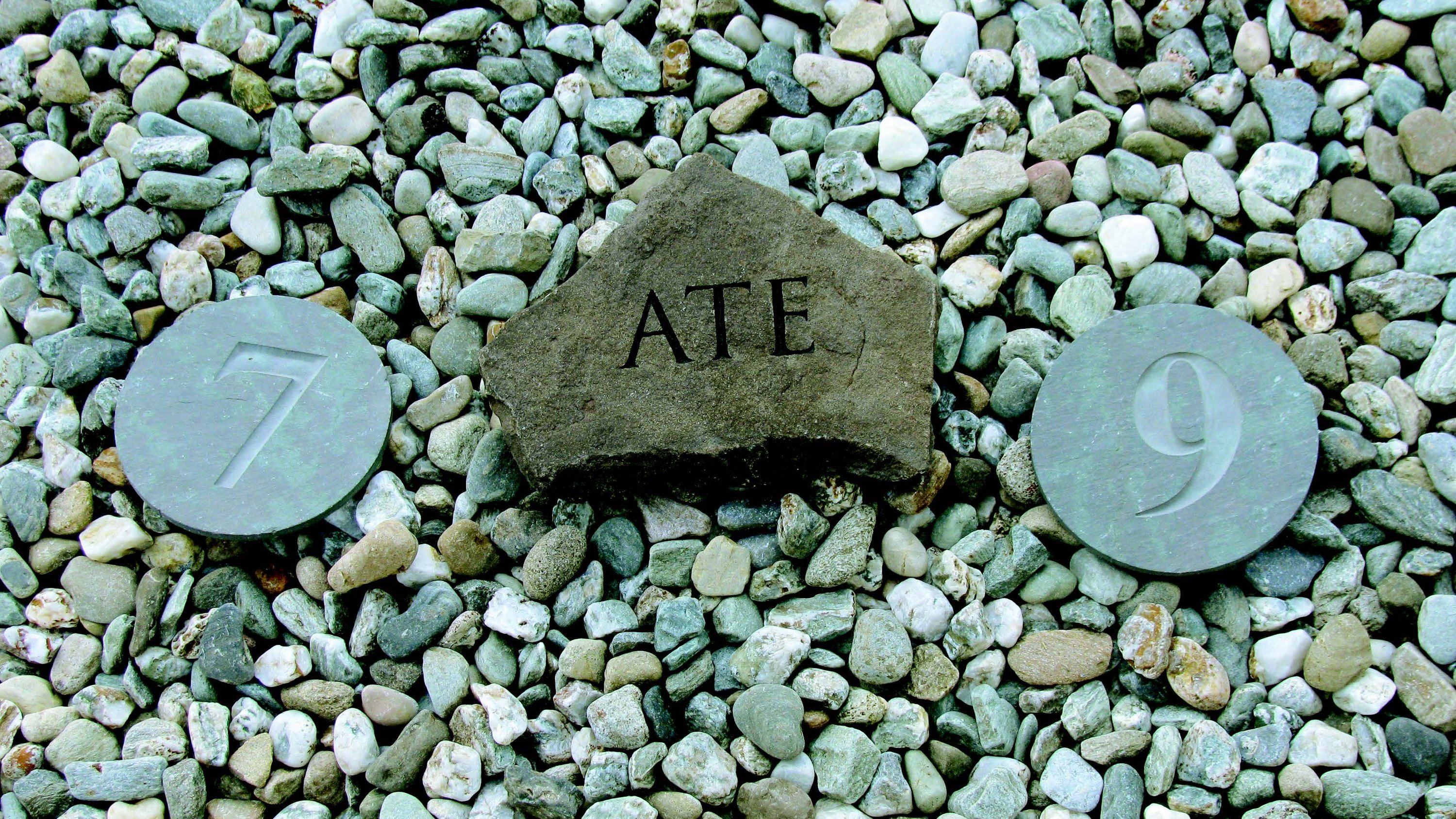 Word Gardens: Engaging Students Outdoors