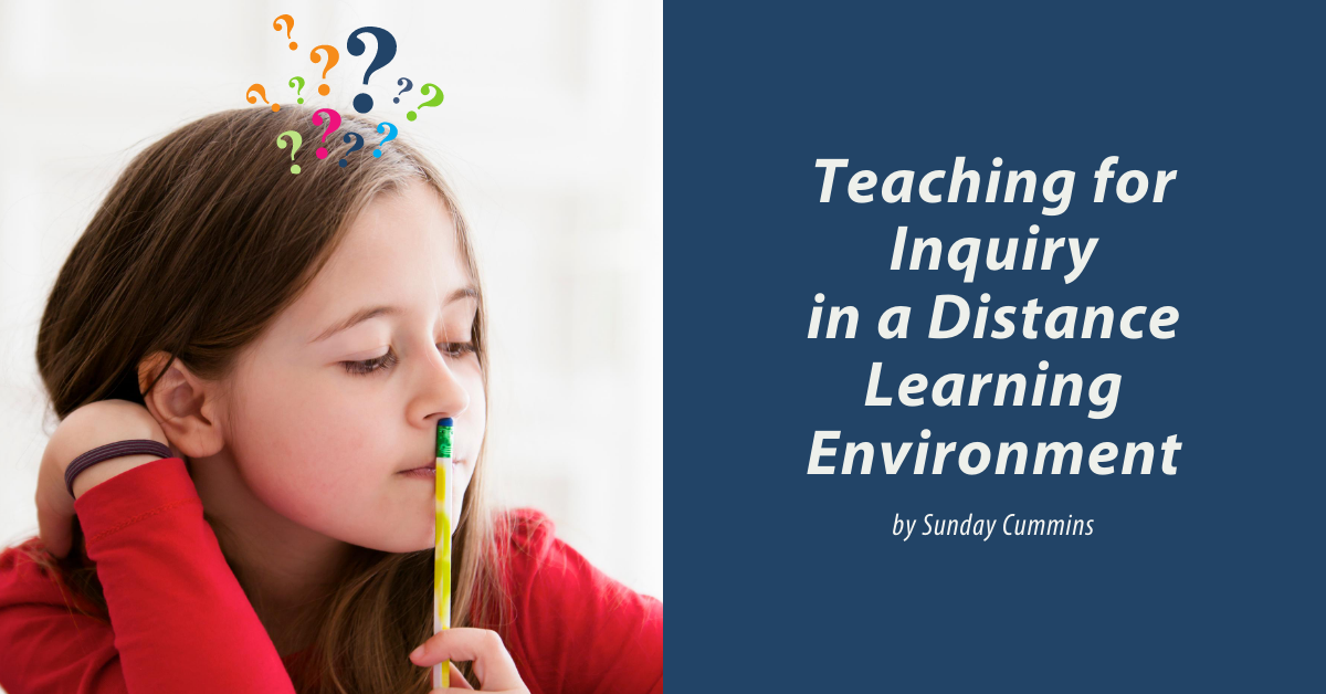 Teaching for Inquiry in a Distance Learning Environment